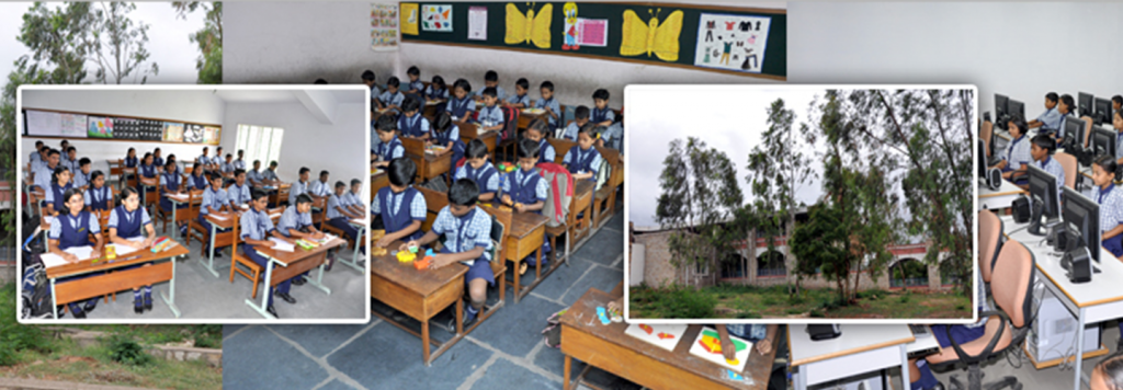 Gallery – The Forbes Academy